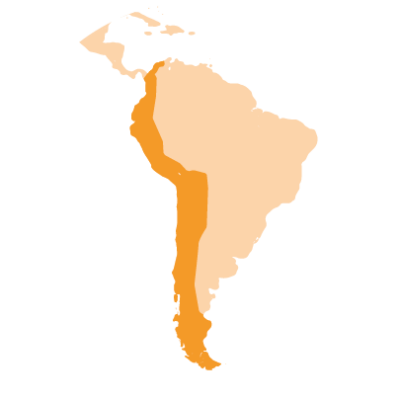 Llama – Zoo Córdoba